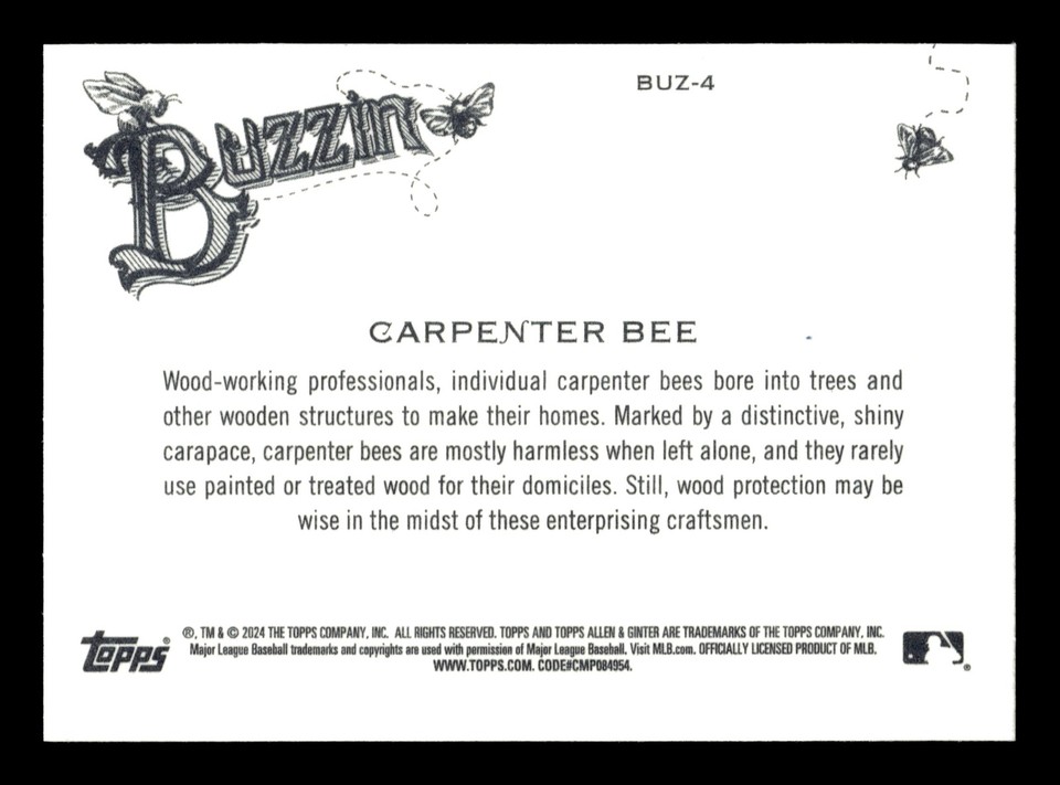 2024 Topps Allen & Ginter #BUZ-4 Carpenter Bee Buzzin' | eBay