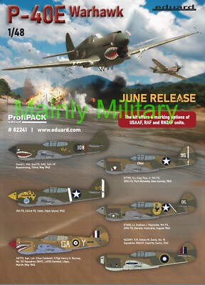 Eduard 1/48 Curtiss P-40E Warhawk ~ Profipack Edition | eBay UK