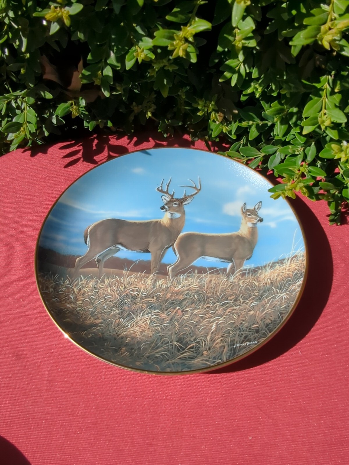 Whitetail Deer Friends Of The Forest Autumn Hillside Plate Danbury Mint ...