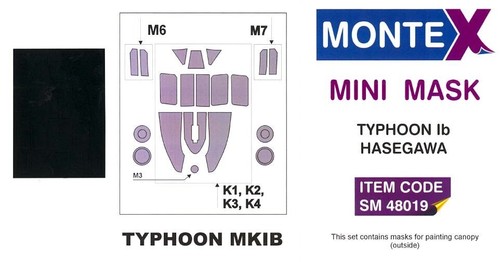 Montex 1/48 HAWKER TYPHOON Ib CANOPY & WHEELS PAINT MASK Hasegawa | eBay