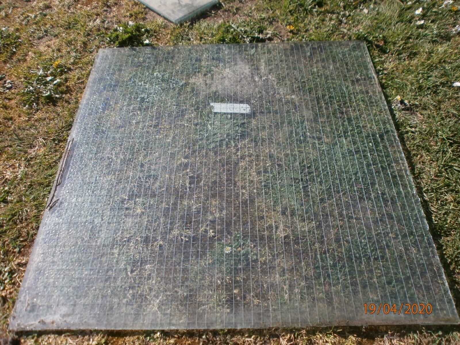 Large security wired mottled glass window pane 600 x 600 x 5mm Collect ...