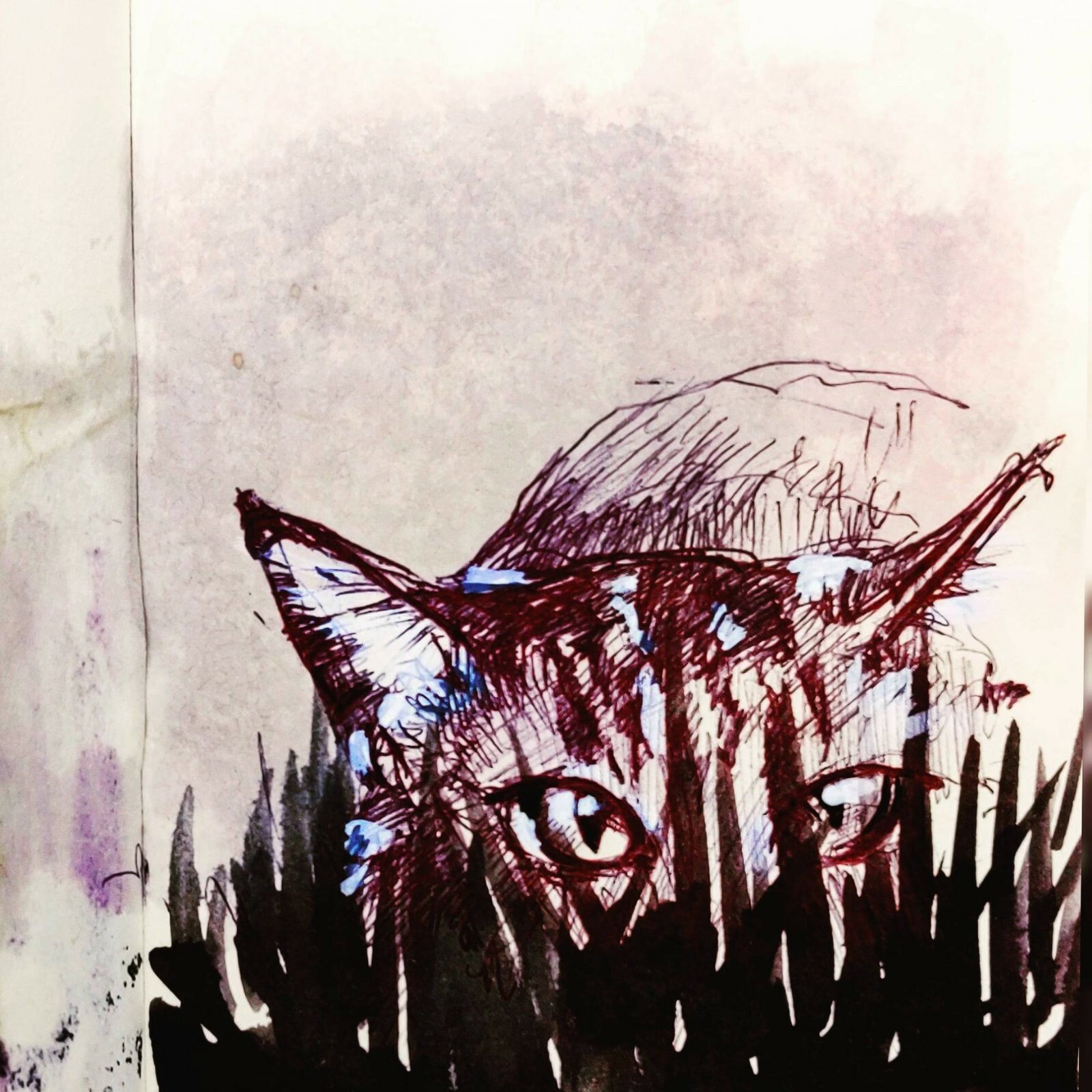 31 ink red wine drawing illustrations sketchbook inktober 20 Yulia A ...