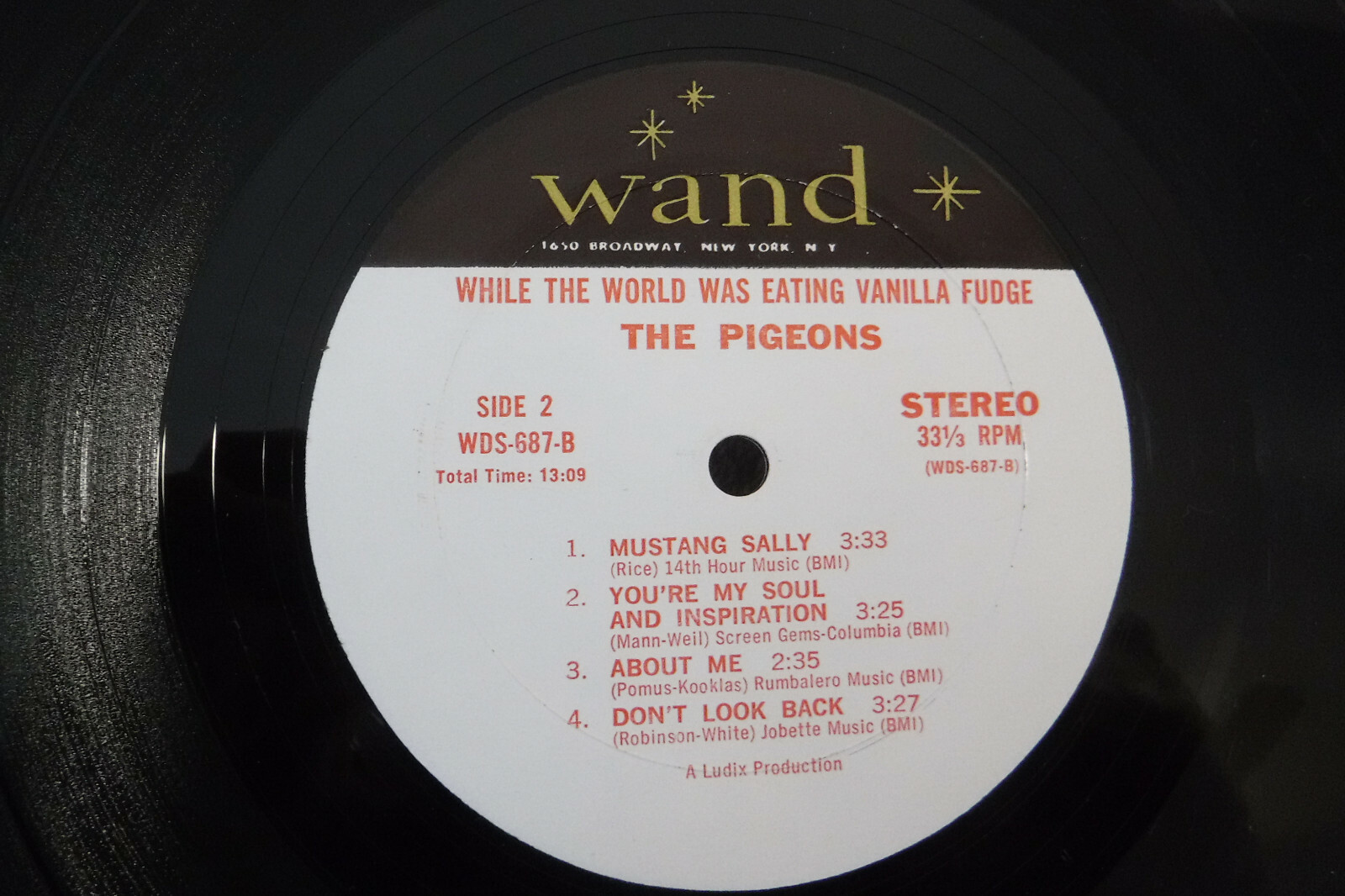 The Pigeons, While The World Was Eating Vanilla Fudge, Wand WDS 687 ...