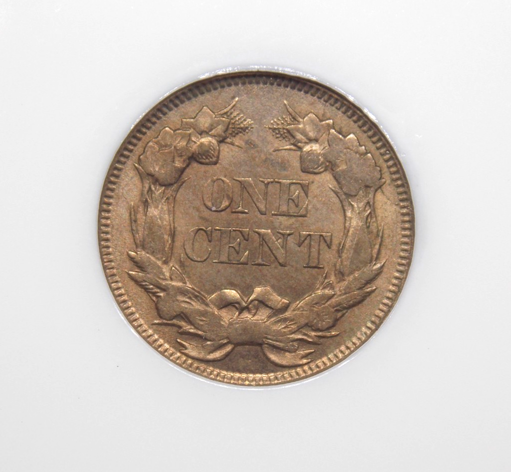 1857 Flying Eagle Cent 1c NGC MS64 #003 Unc BU Uncirculated ECC&C, Inc ...