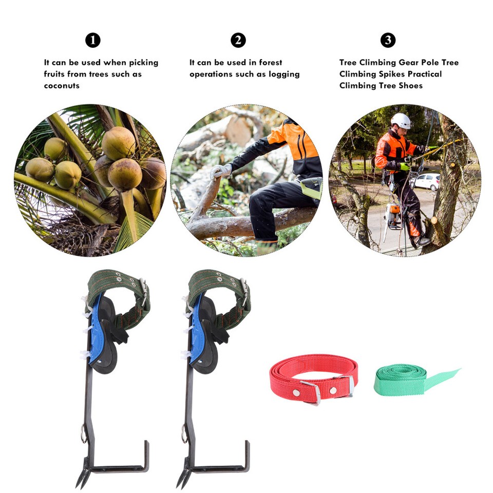 Tree Climbing Gear Pole Pruner Tree Climb Spike Tree Climbing Shoes ...