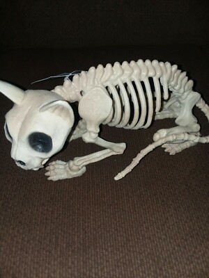 NEW Halloween CAT Skeleton Prop Sitting Halloween MOVEABLE 12" Long ...