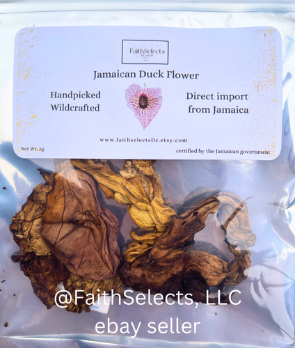 2 Duck Flower, Duck Flower Detox , Jamaica, Wildcrafted , Whole flowers ...