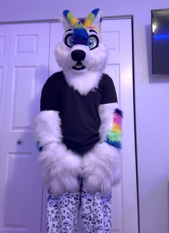 fursuit partial premade canine pre-owned | eBay