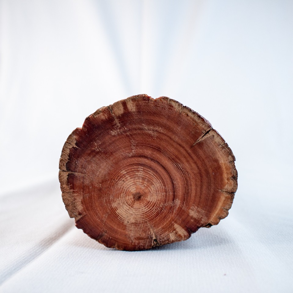 Vintage Native American Chief Handcraft Curved Wood Sculpture Size 20"L ...