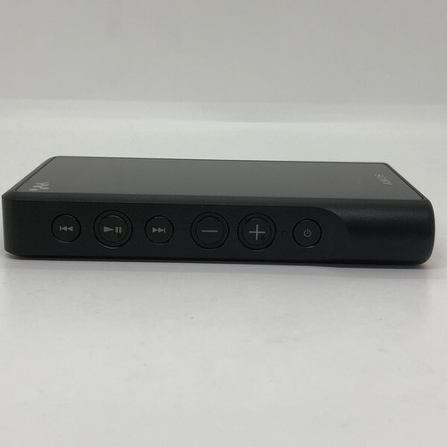 SONY NW-WM1A Black WM1 Series Walkman Digital Audio Player | eBay