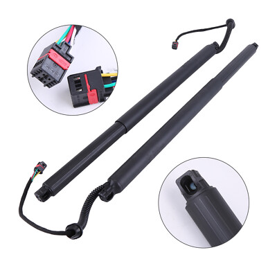 2PCS REAR LH RH POWER LIFT GATE CYLINDER STRUTS FOR 2015-2019 NISSAN ...