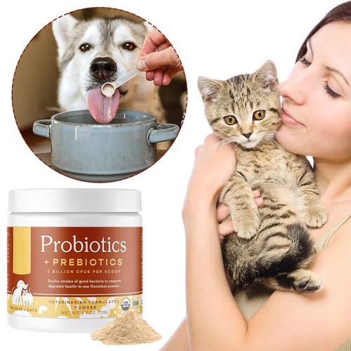Pet Probiotic Powder for Improving Intestinal Health Enhancing Immunity ...