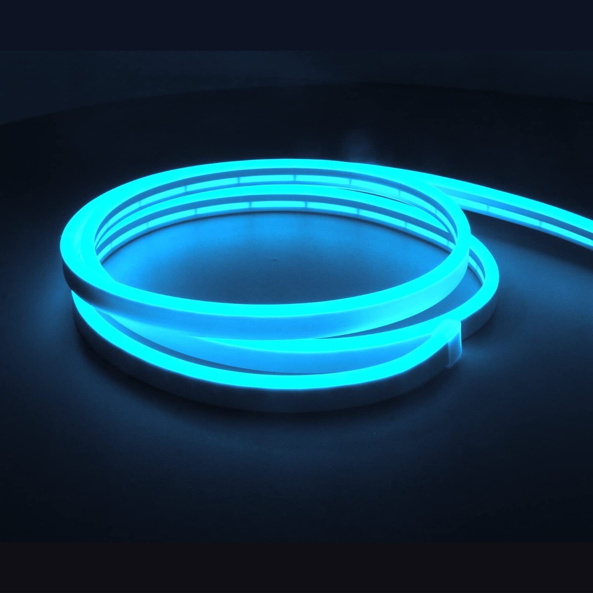 LED Neon Lights 12V Blue LED Strip Lights (IL/RT6-17471-YXHL-BLUE-NOB ...