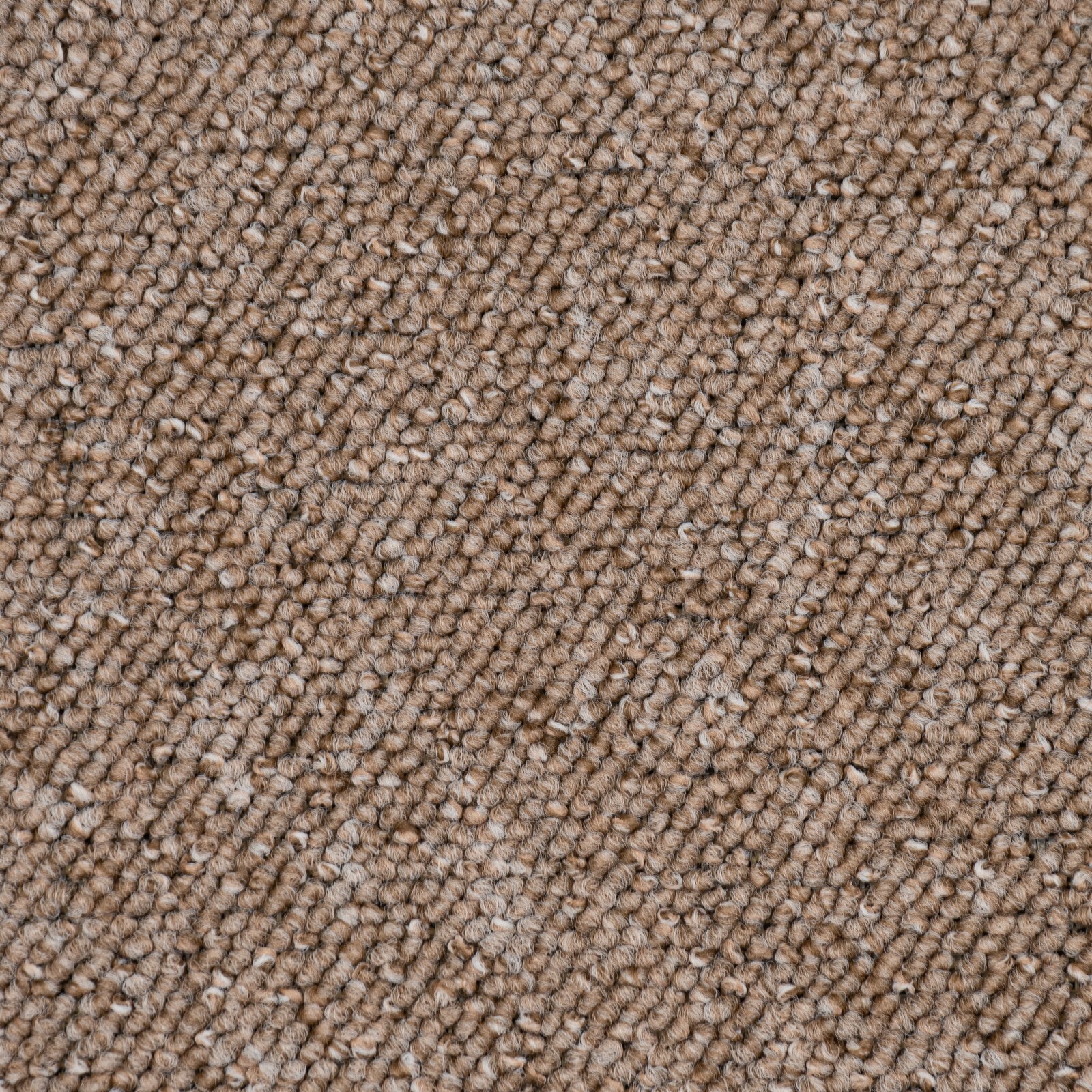 Beige Vegas Cheap Flecked Loop Pile Carpet Felt Backed Hardwearing 4m ...