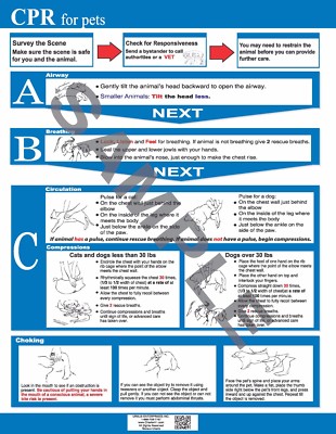 Pet CPR / First Aid Chart | eBay