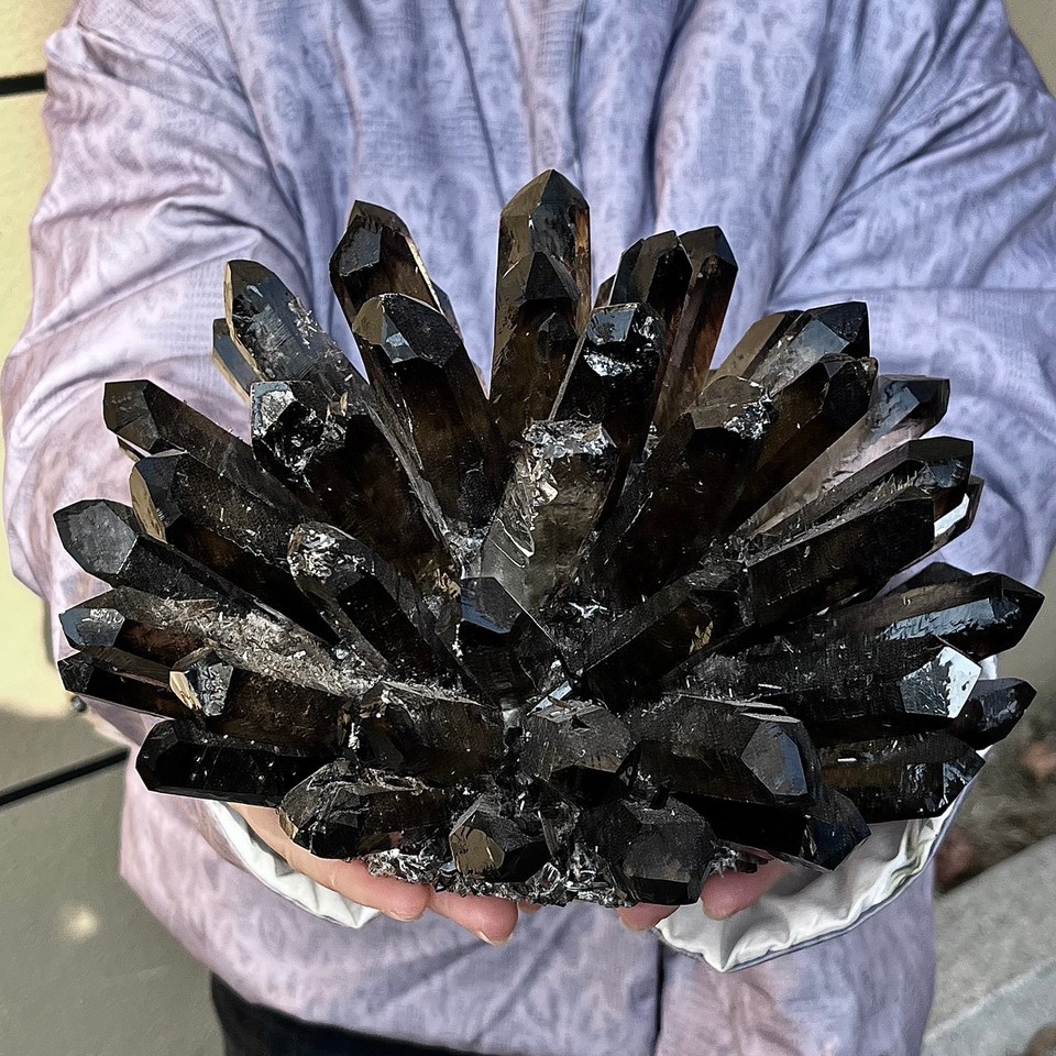 9.81LB black cluster sample flower home decoration | eBay UK