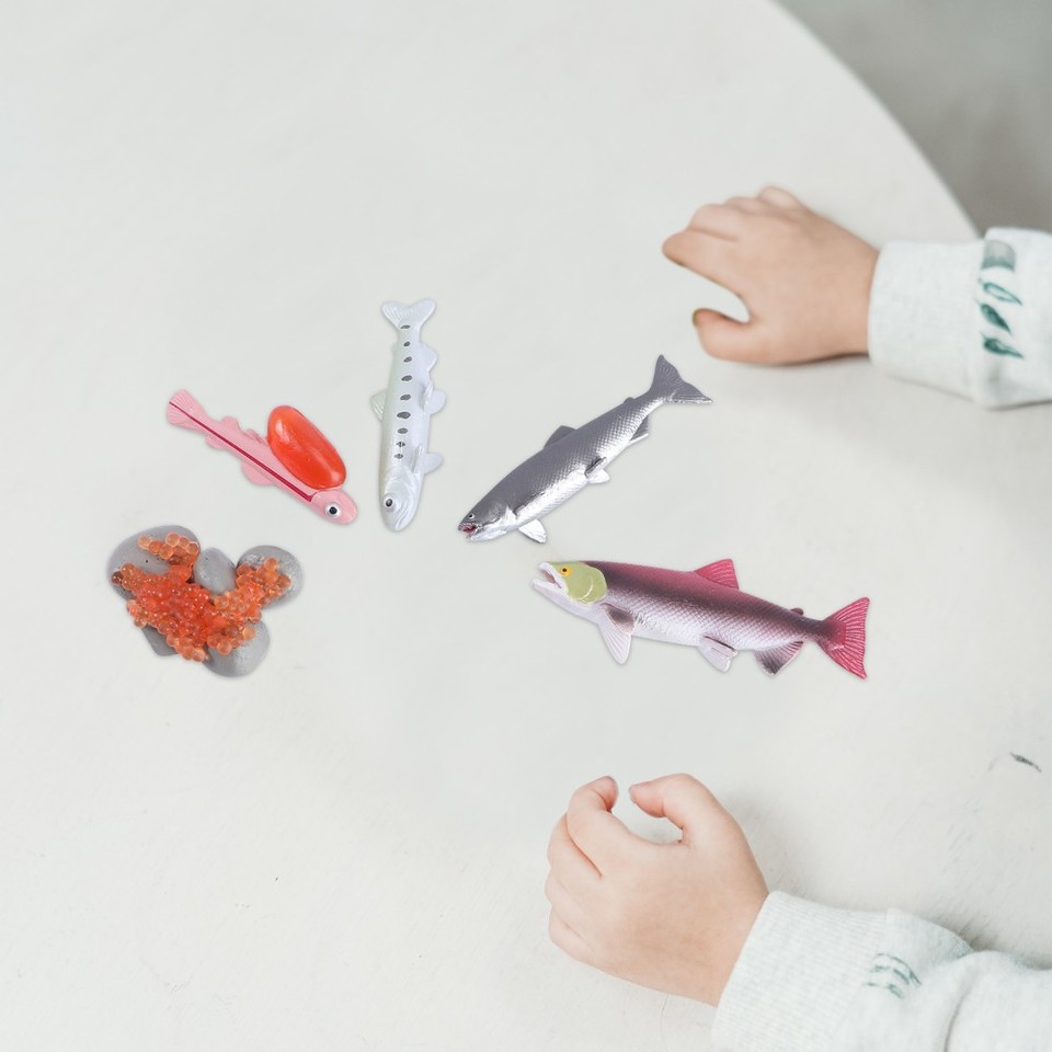 4Pcs Salmon Figurine Crafts Lifelike Kindergarten Fish Model Set ...