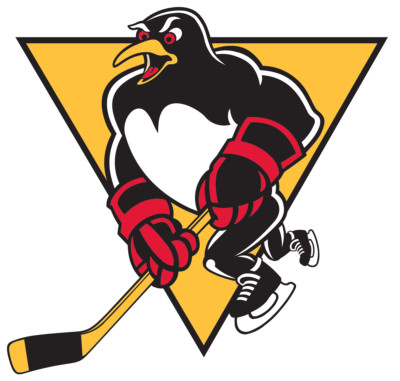 Pittsburg Penguins sticker logo NHL weatherproof bumper vinyl decal | eBay