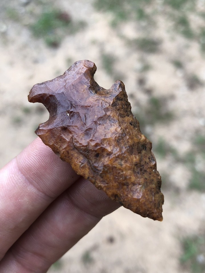 Bolen Bevel Authentic Georgia Florida Native American Artifacts ...