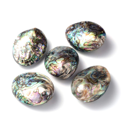 5pcs Gorgeous Natural Paua Shell Beads Oval Large Loose Beads Crafting ...