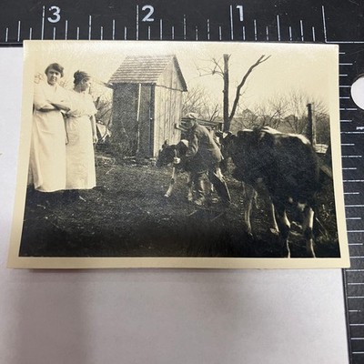 Vintage Black & White Photo Early 1900s Farm Scene with Women and Cows ...