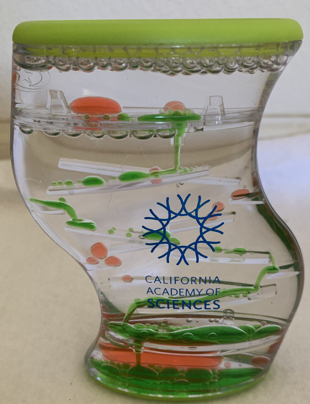 S Shaped Liquid Bubble Motion Timer Calming Relieve Stress - CA Academy ...