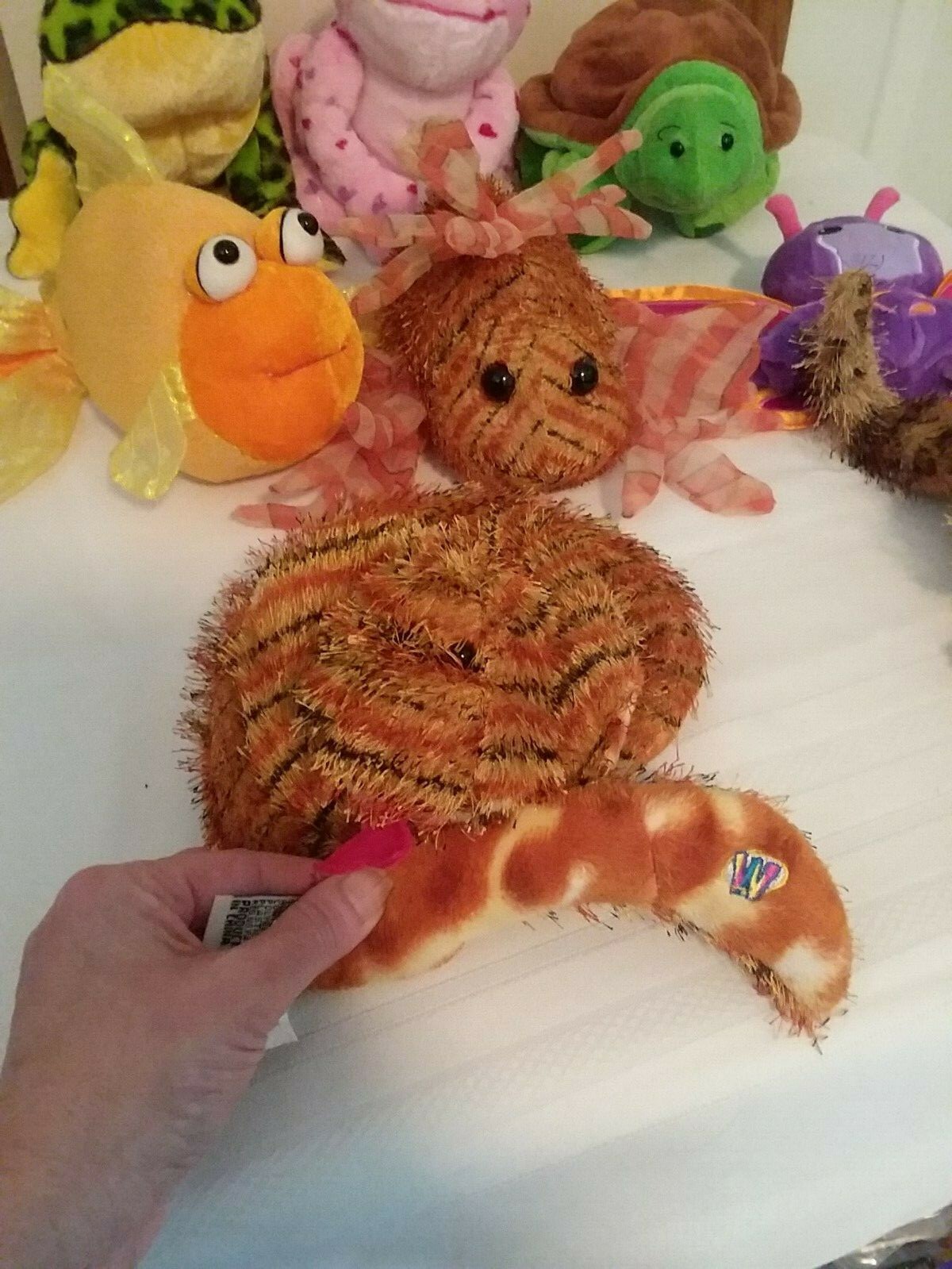 Webkinz Snake Fish Frogs Iguana Zumbuddy Turtle Lot of 8 | eBay