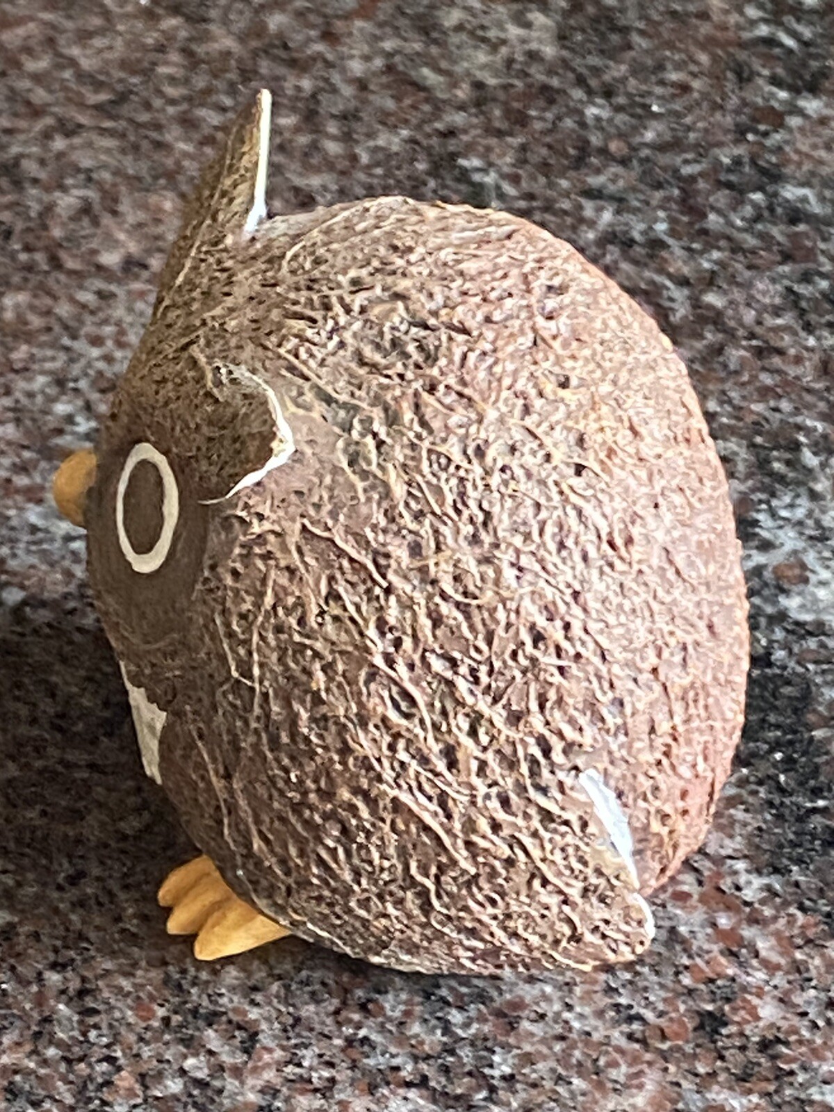 2010 Enesco Home Grown Coconut Owl Figurine #4022978 | eBay