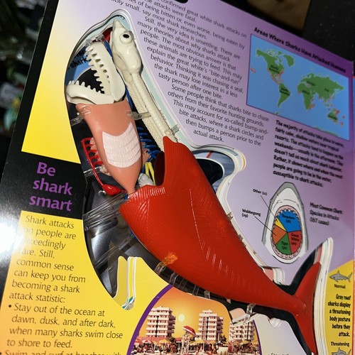 Uncover Bks.: Uncover a Shark by David George Gordon (2004, Hardcover ...