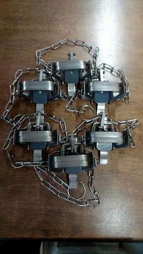 6 BRIDGER #1 COIL SPRING TRAP MUSKRAT MINK RACCOON MARTEN TRAPPING ...