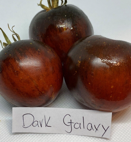 Dark Galaxy Tomato - 15 Seeds Heirloom Organic Rare Vegetable Tassie ...
