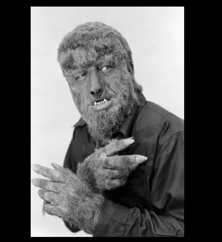 Wolf Man PHOTO Wolfman Monster Scary Creepy Weird Movie Horror | eBay