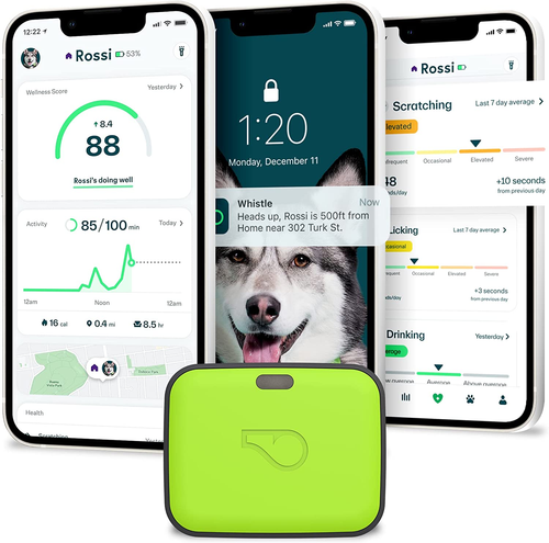 Go Explore Pet Health & GPS Tracker - Green 313101726770| eBay