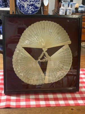 Framed Set of 3 Antique Celluloid Hand Fans (Circa 1870-1930) | eBay