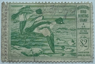 1949 RW16 $2 MIGRATORY BIRD HUNTING STAMP Federal Duck Stamp Goldeneye ...