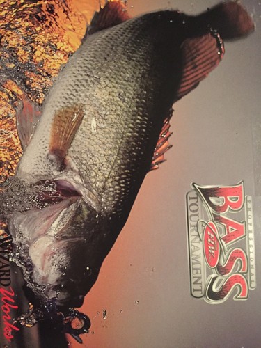 NEW- PRO BASS TOURNAMENT Laptop Computer Mouse Mice Pad- WIZARD WORLD ...