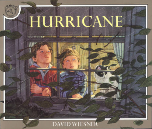 Hurricane - Paperback By Wiesner, David - VERY GOOD 9780395629741| eBay