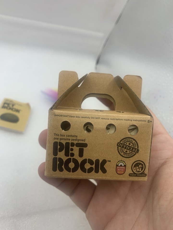World's Smallest Official Pet Rock Miniature RETRO Toy Built Already TA ...