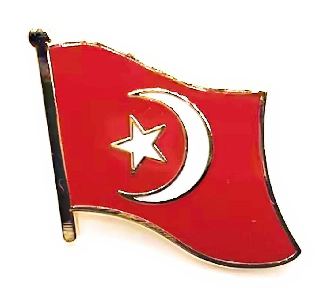 NATION OF ISLAM FLAG PIN | eBay