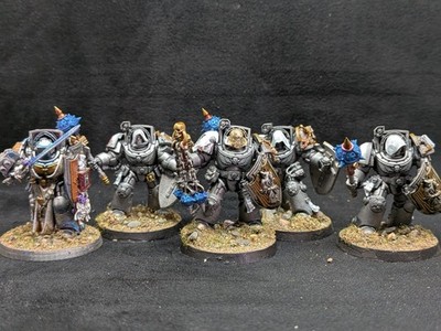 238 Terminators Custom Grey Knights Primaris Space Marines Well Painted ...