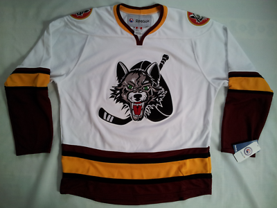 Chicago Wolves Hockey Photos At Allstate Arena