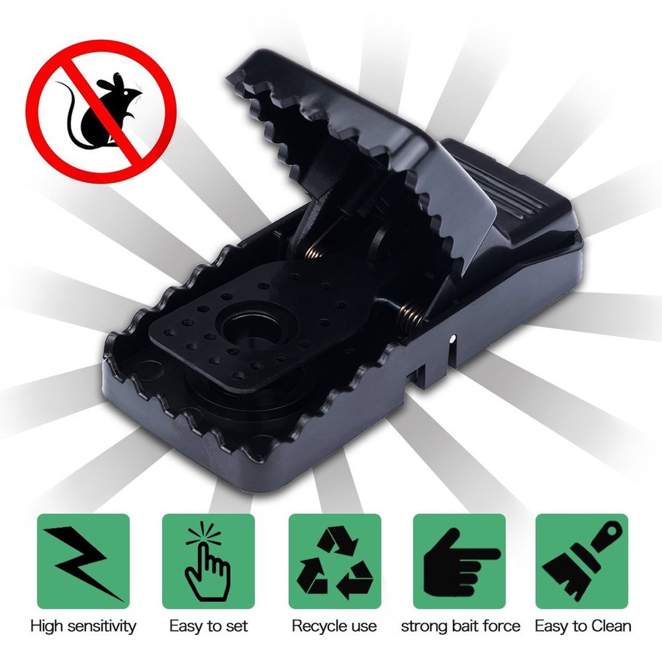 Mouse Trap, Mice Traps That Work Best Snap Traps for Small Mice and ...