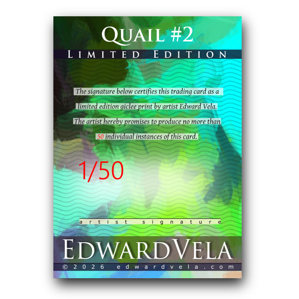 Quail #2 Art Card Limited 1/50 Edward Vela Signed (Animals Birds) | eBay