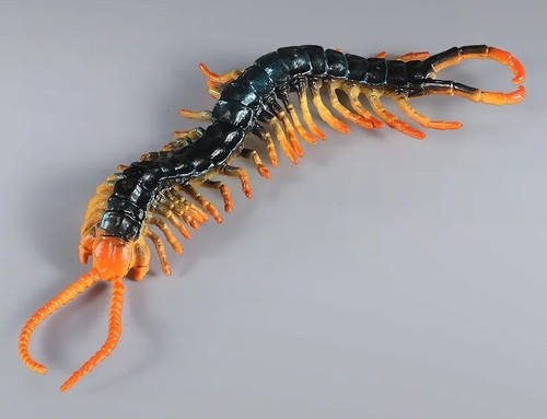 Centipede Insect Animal Toy PVC Action Figure Doll Kids Toys Party ...