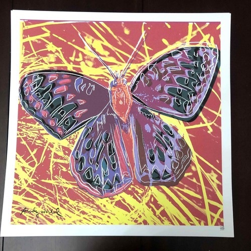 Lithographie Andy Warhol cm 50x50 nouvelle édition CMOA CAMÉRA avec ...