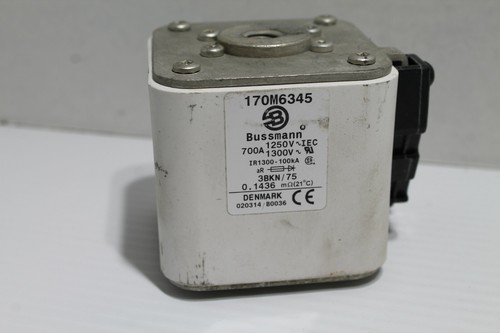 Bussmann 170M6345 Fuse 700A 1250V 3BKN/75 | eBay