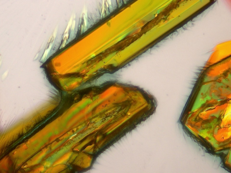 Olympus Microscope BX51 Pol Polarizing with Prior ProScan III Motorized ...