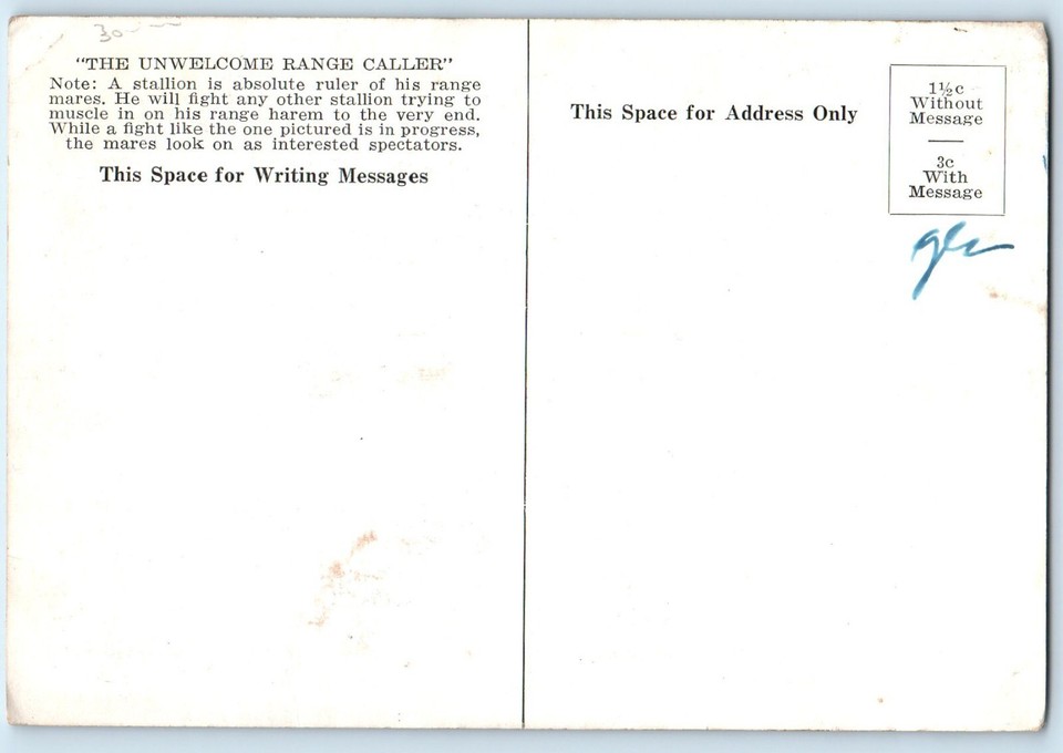 The Unwelcome Range Caller Stallions Fighting Buck Nimy Signed Artist ...