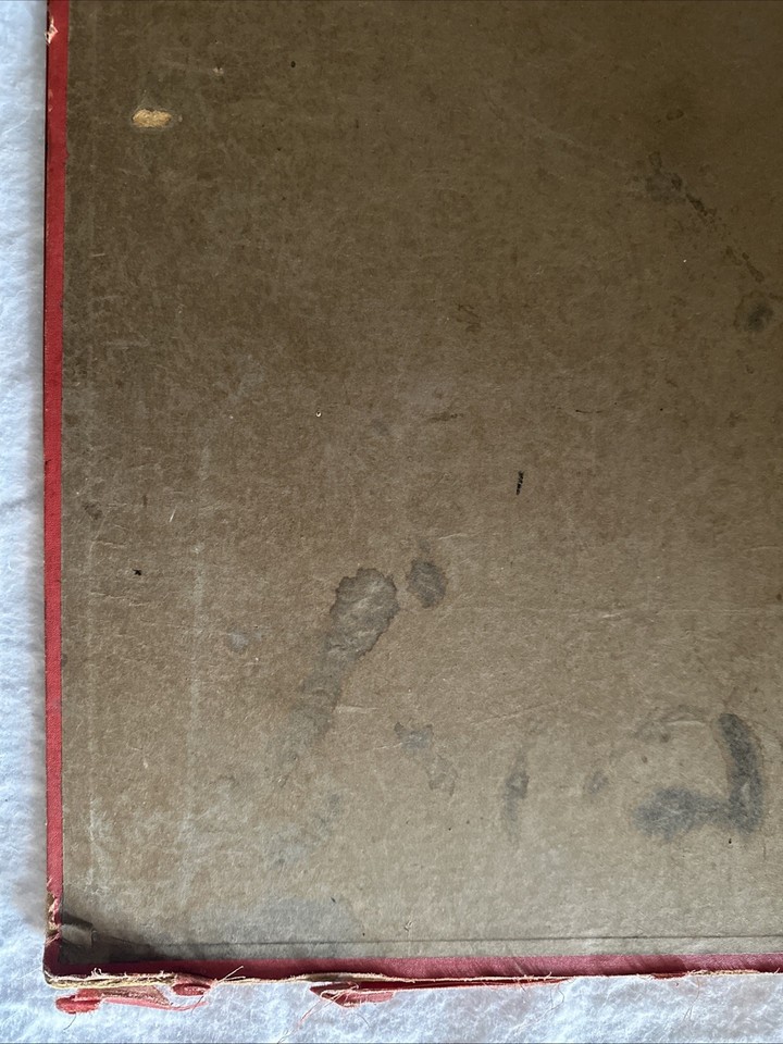 anatomical manikin mannequin portfolio skeleton muscles body Thermo ...