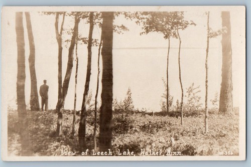 Walker Minnesota MN Postcard RPPC Photo View Of Leech Lake c1910's ...